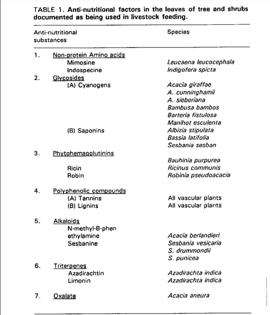 Inflammatory Anti-nutrients in Plant-Based Foods - SelfHack