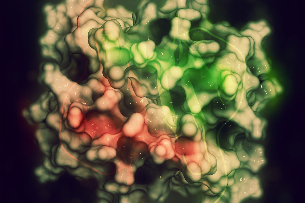 How to Inhibit Il-8 (Interleukin 8) Chemokine - SelfHack